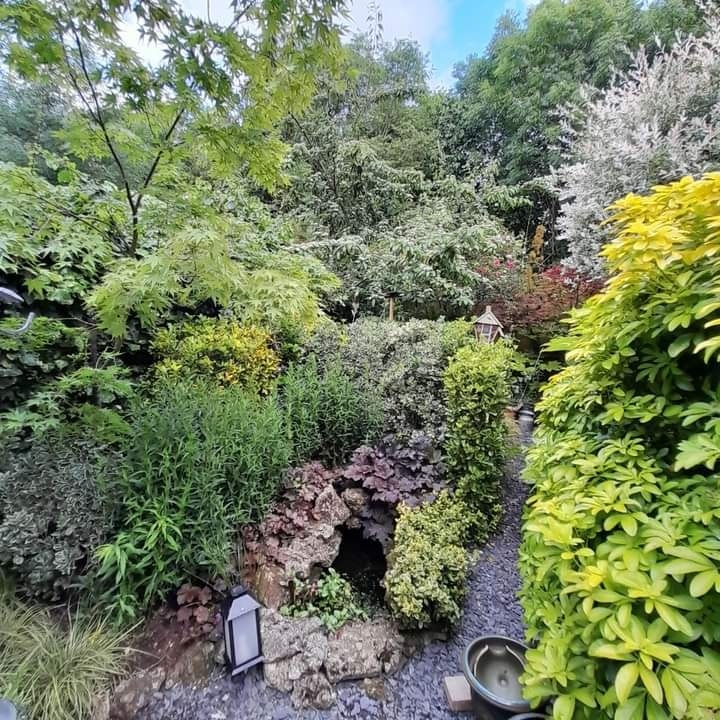 My small garden is a mini ecosystem - Our Gardens Matter